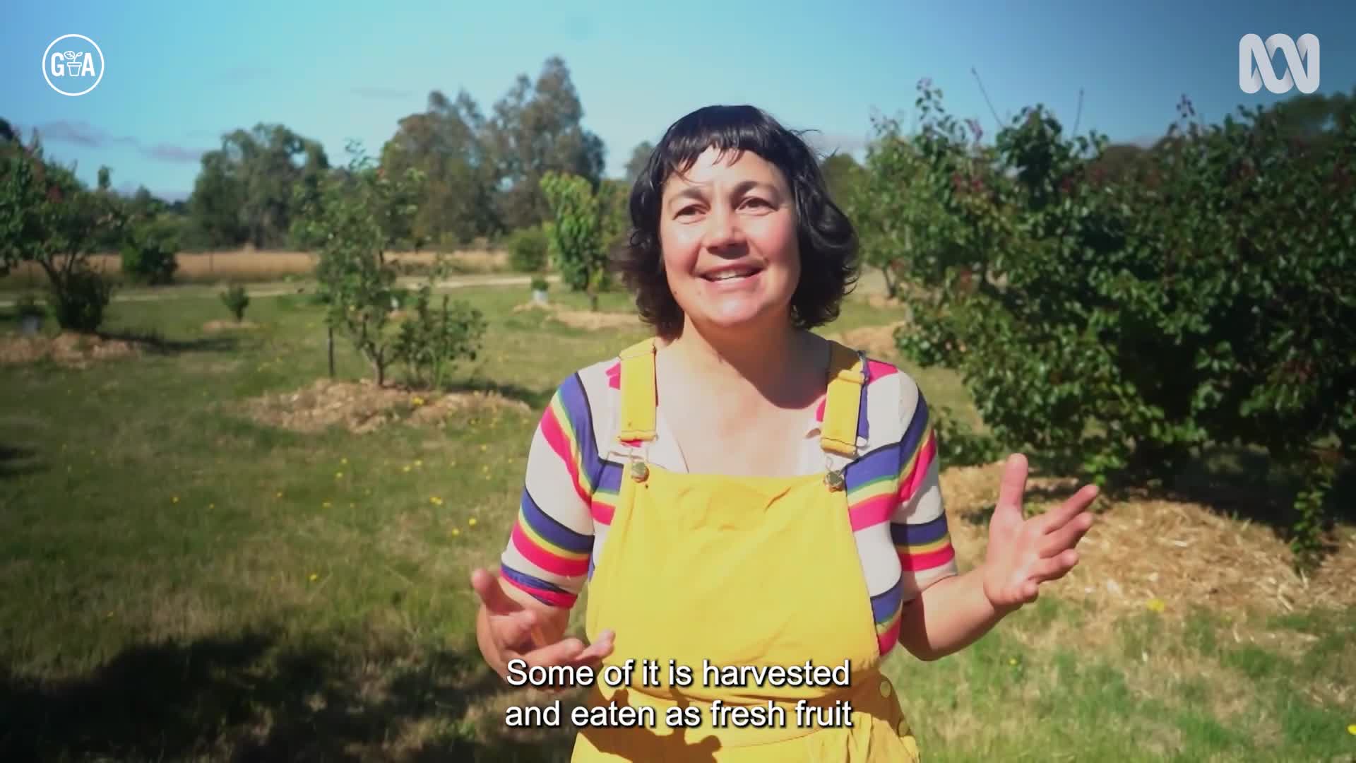 MGP – Mara Ripani