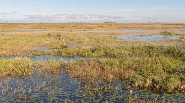 Louisiana's Little-Known City Offers The Perfect Blend Of Nostalgic ...