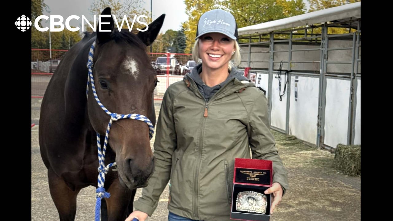 Edmonton horse spurs keen interest from buyers near and far