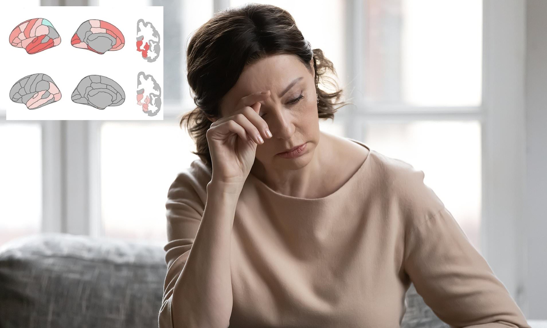 The shape of your brain could predict if you will develop dementia ...