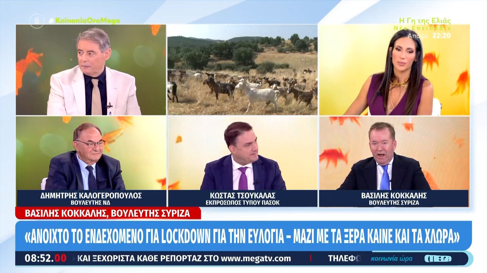 Β. Κόκκαλης: «Στη Θεσσαλία ζητούν χρήματα επιδοτήσεων από αγρότες που ...