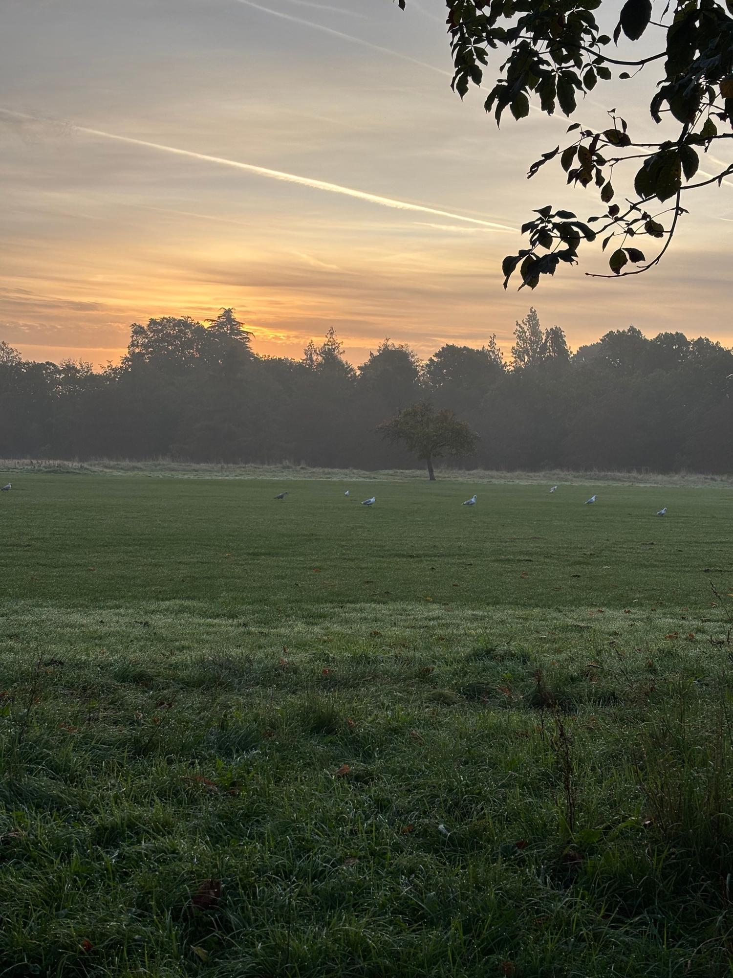 Reasons to be Cheerful by Vicky Edwards Walking back to Happiness