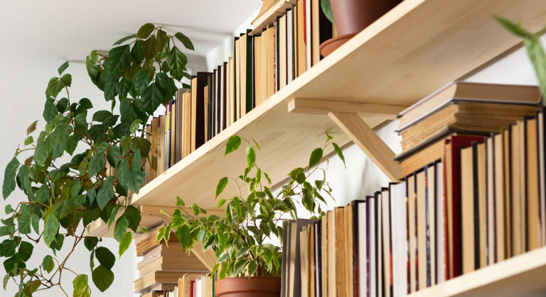 This viral hack turns a $10 dish rack into an invisible bookshelf, and ...