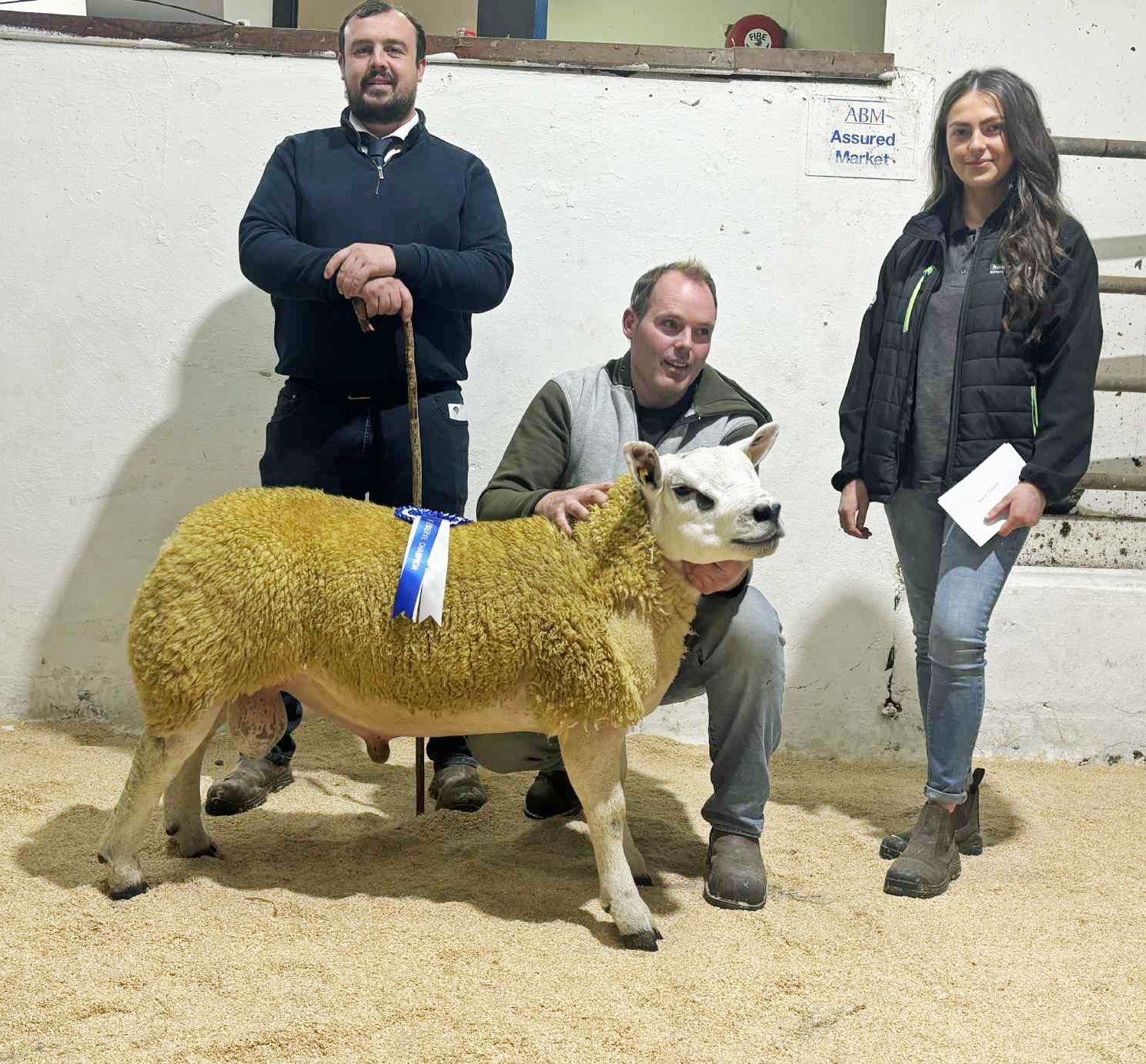 Corbo Im The Boy is Buyers Choice