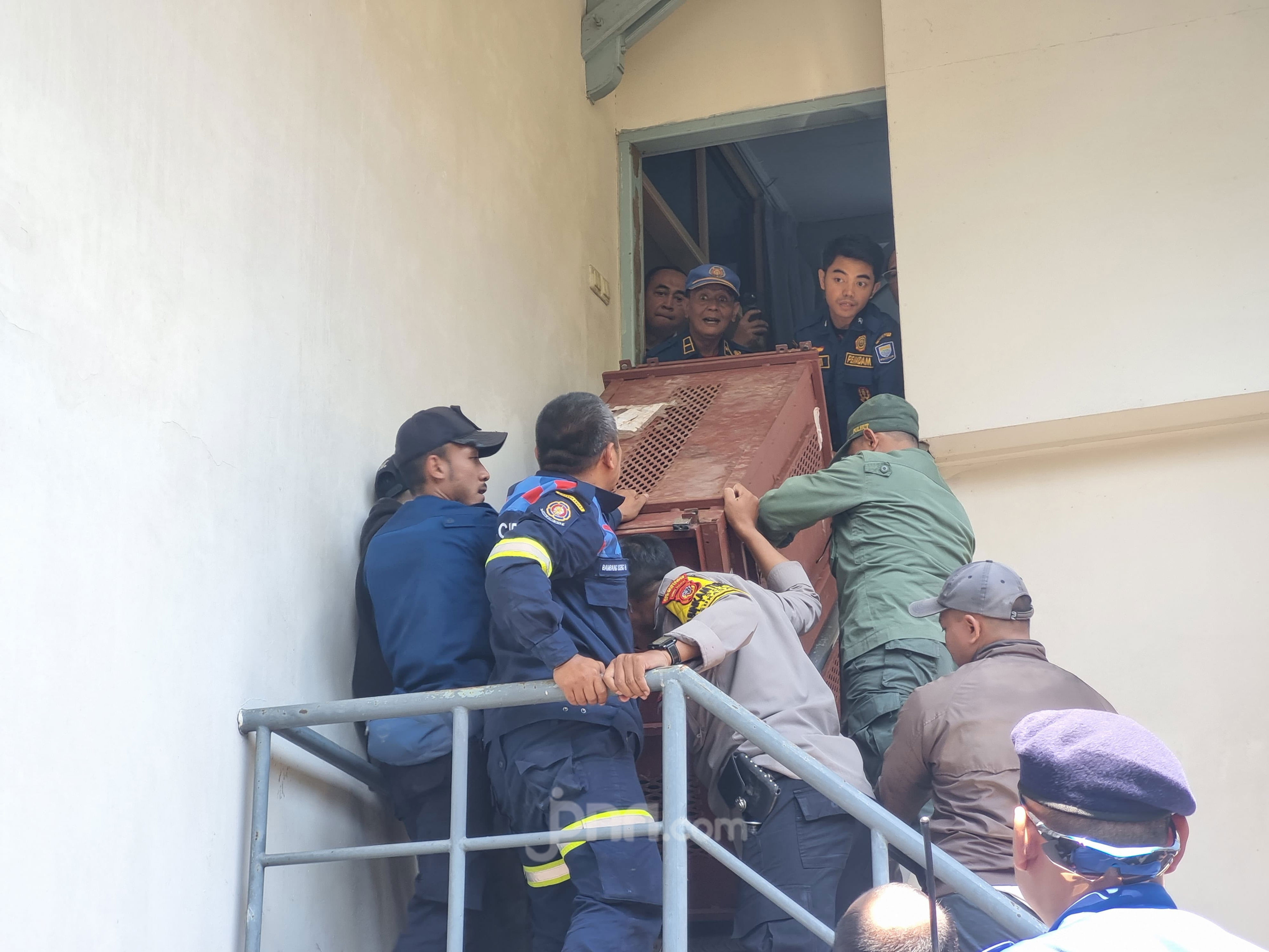 BKSDA Evakuasi Macan Tutul Masuk Hotel di Bandung