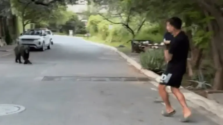 Own a Fish Pond Codes – September 2025