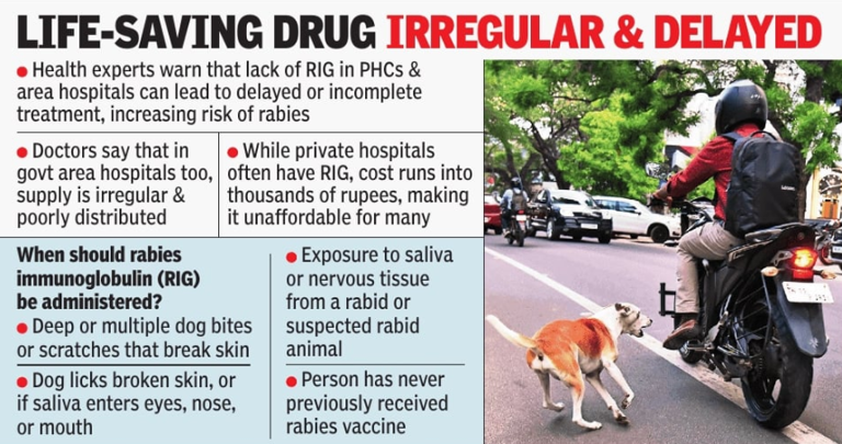 Amid rising stray bites, rabies drug shortage hits Telangana govt hospitals