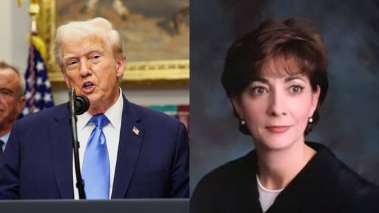 Diane Goodstein Democrat or Republican? SC judges' political ties ...