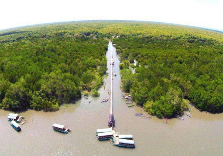 8 Destinasi Wisata Mangrove di Jawa Timur, Sajikan Keindahan Alam yang ...