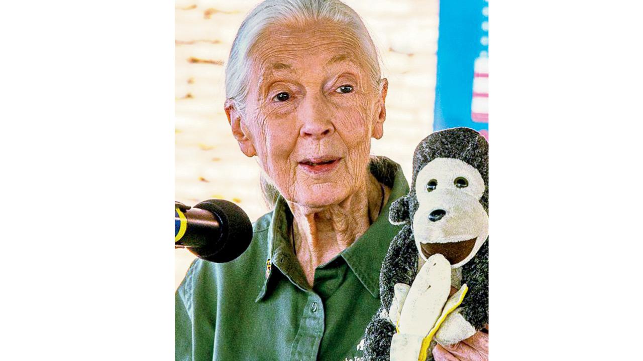 Celebrate renowned primatologist Jane Goodall`s life with these ...