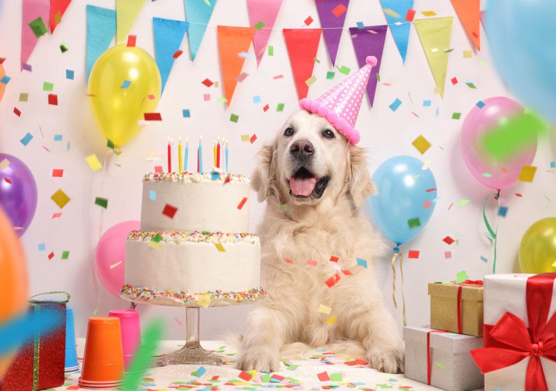 Target’s Birthday Cake Dog Biscuits Are the Gift That Keeps on Wagging
