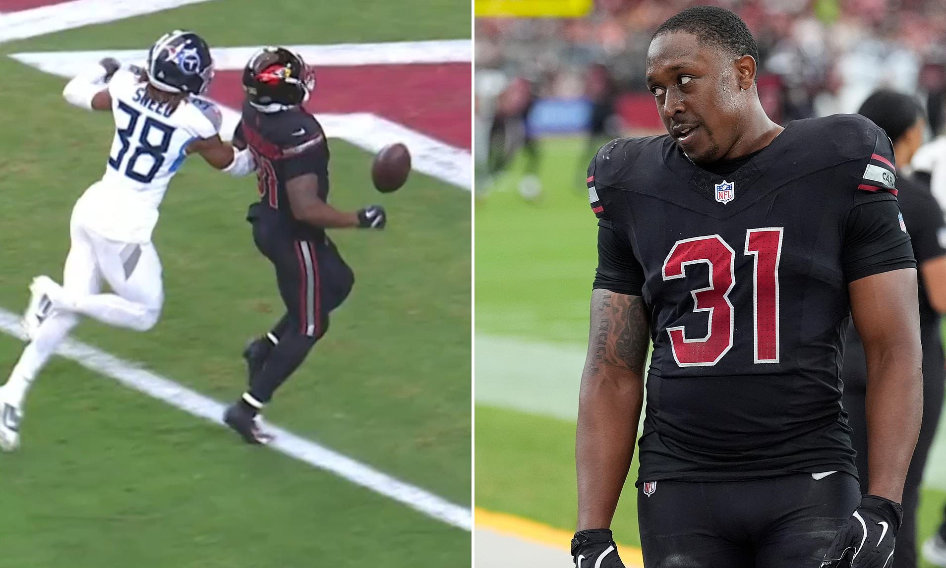 Cardinals star drops ball before end zone in costly blunder