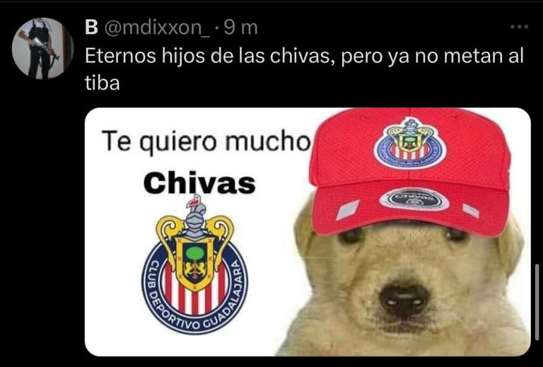 Pumas es víctima de las burlas de aficionados de Chivas con LOS MEJORES ...