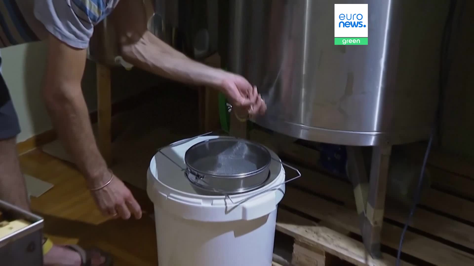 Athenians embrace urban beekeeping, hosting hives on rooftops to ...