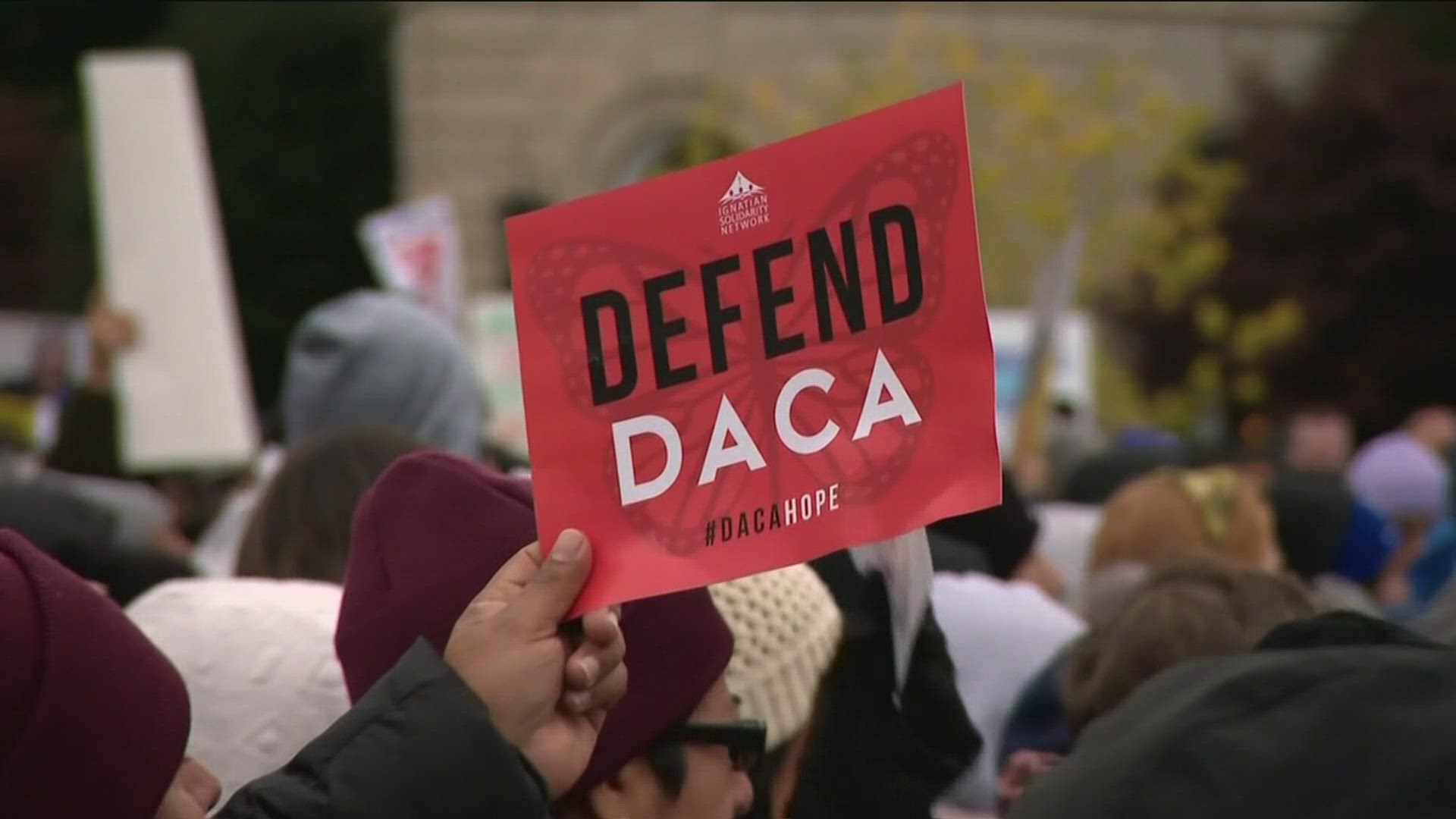 Federal government could resume accepting new DACA applications