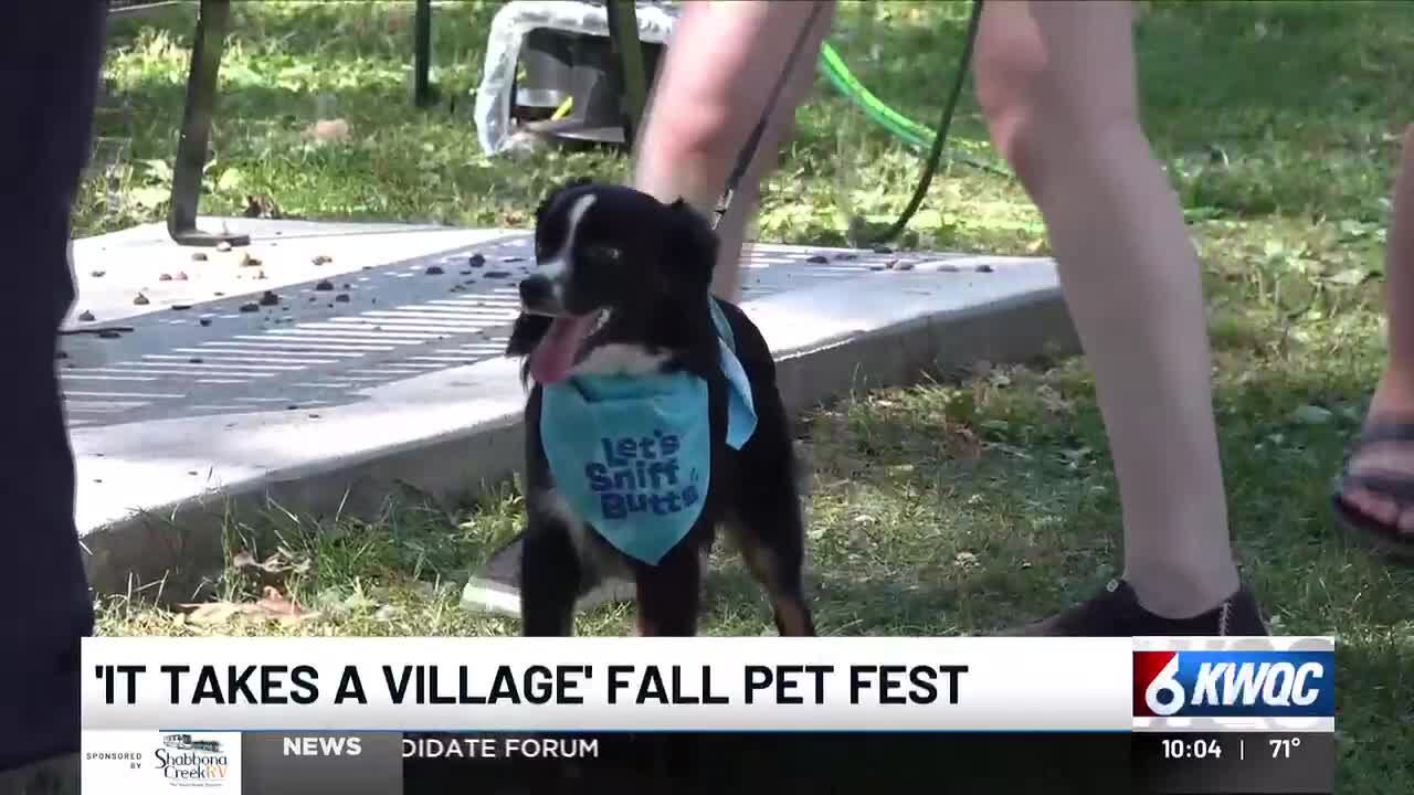 It Takes a Village hosts Fall Pet Festival in Muscatine