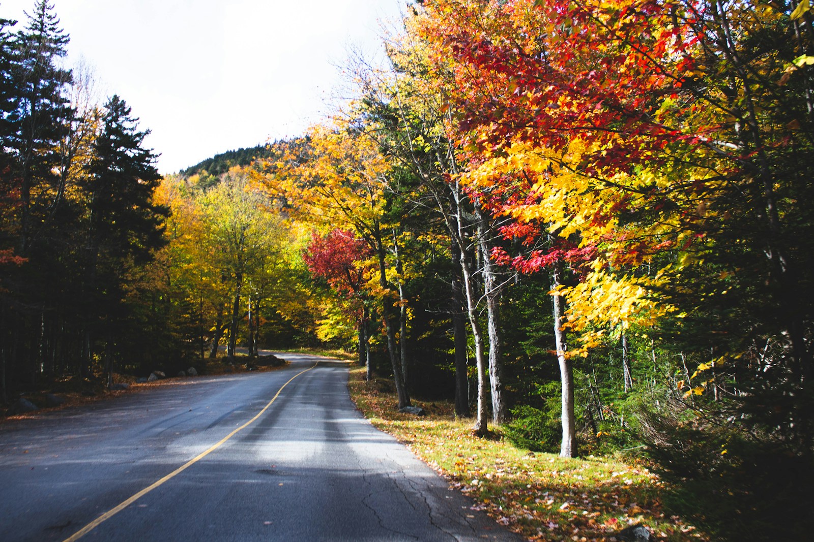 10 Scenic Fall Foliage Road Trips in Vermont to Take This Year
