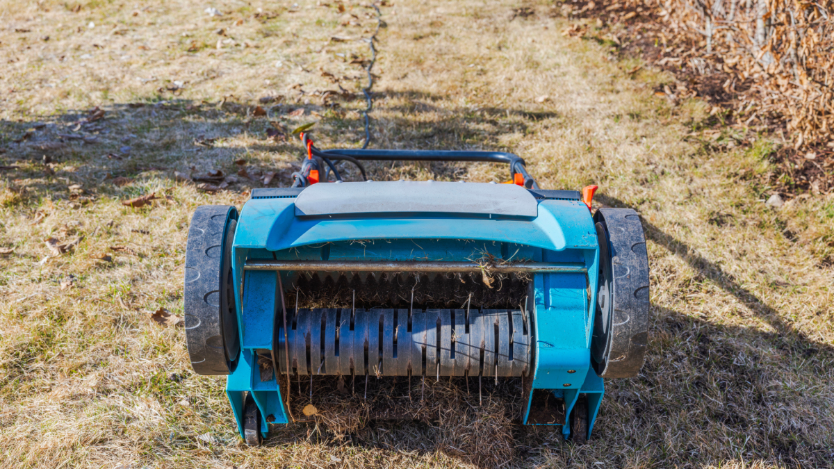 Grass Looking Dull and Patchy? Here's How to Aerate Your Lawn