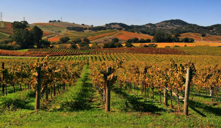 Does terroir matter in spirits? Bourbon, Scotch, and tequila say yes