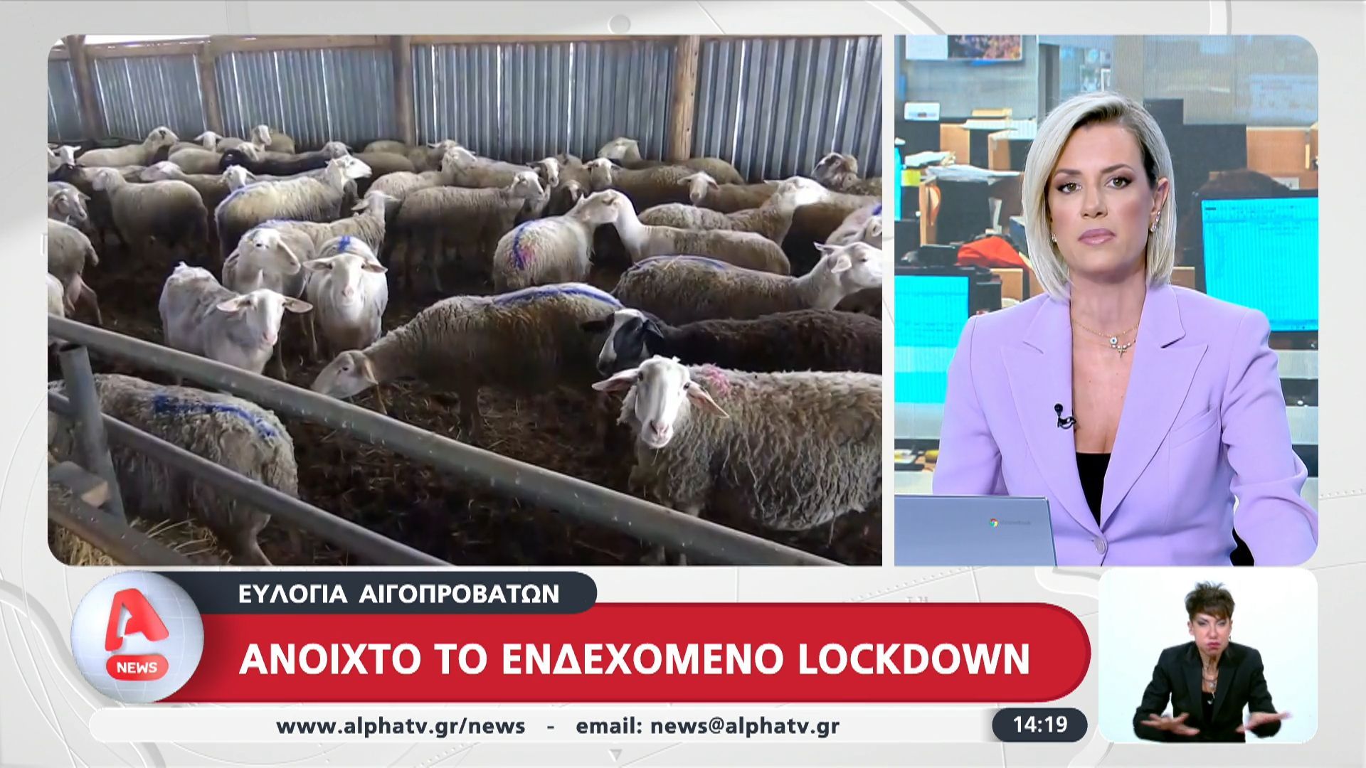Ευλογιά αιγοπροβάτων: Ανοικτό το ενδεχόμενο lockdown