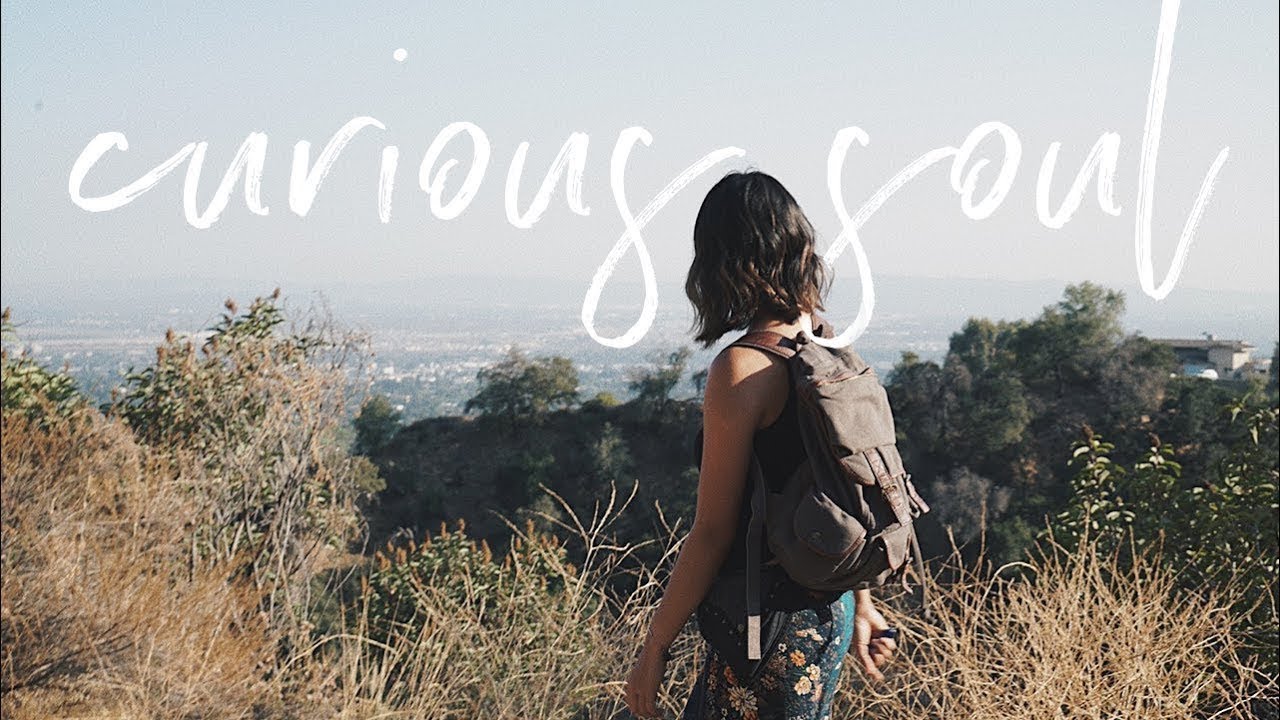 What I learned from native California plants