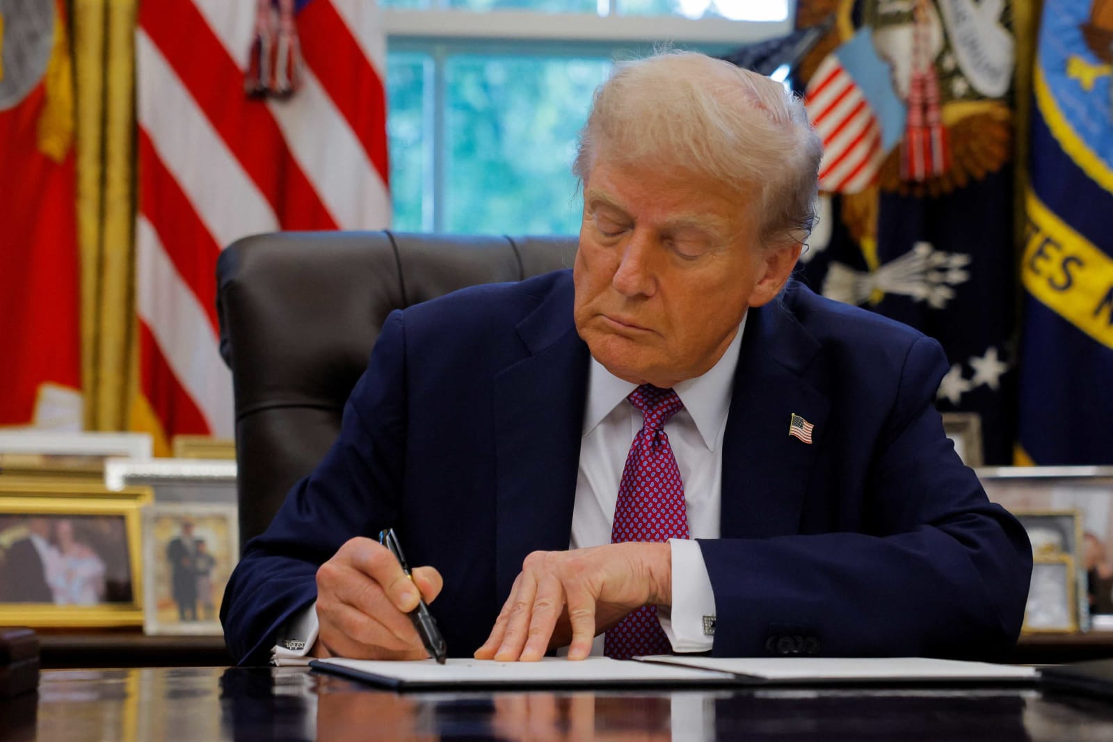 'Resistance': Legal expert shows how blue states can hit back at Trump