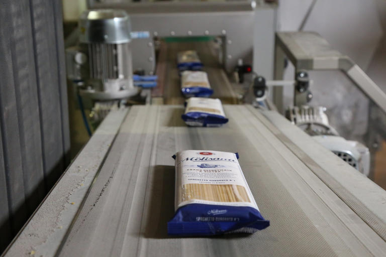 La Molisana says ready to open pasta plant in USA
