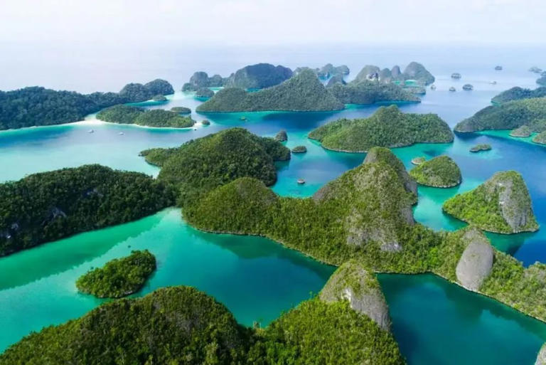 Raja Ampat jadi Cagar Biosfer UNESCO, Apa Itu? Begini Penjelasannya