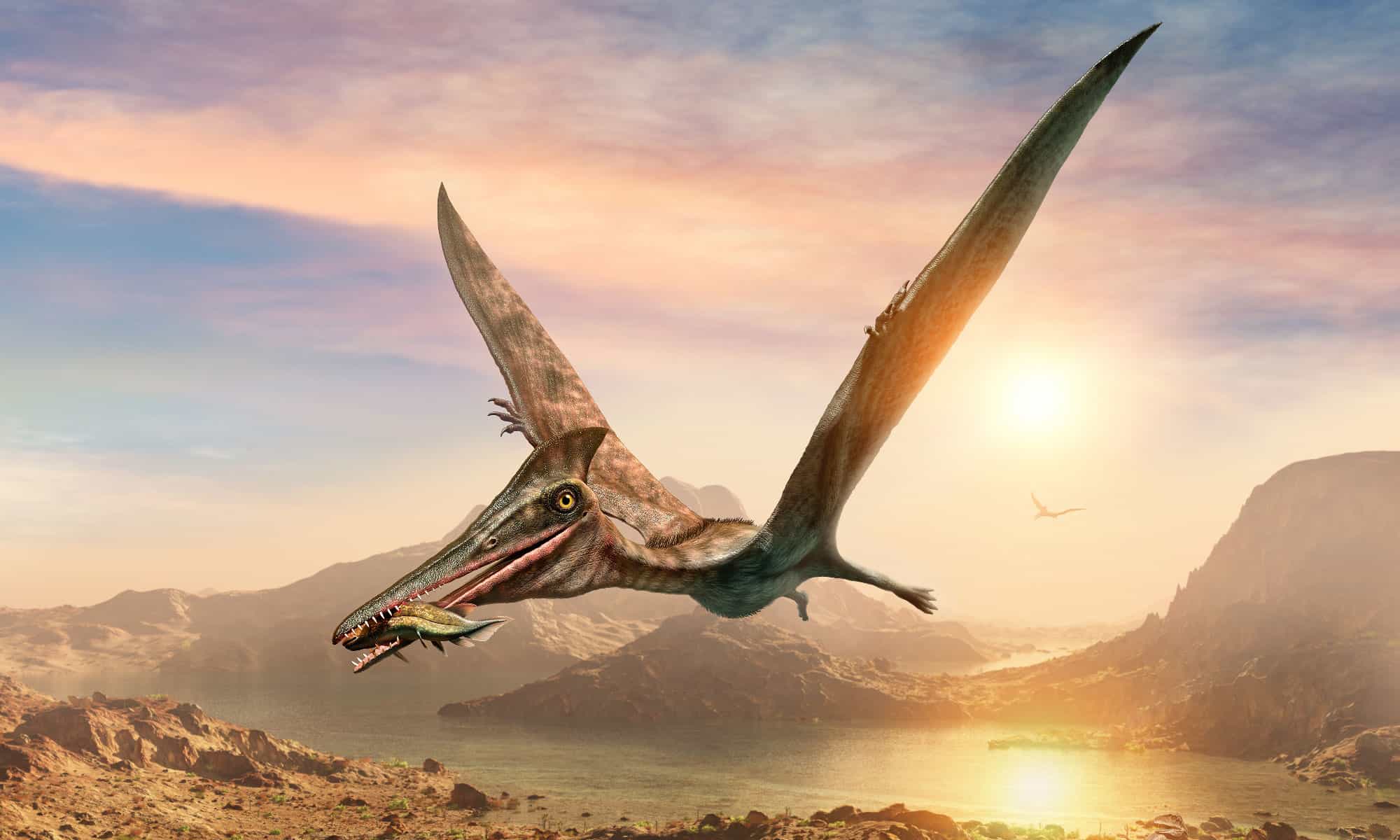 10 Flying Dinosaurs That Once Ruled the Skies