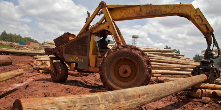 Complete Guide on How to Apply for a Forestry Permit from NEMA