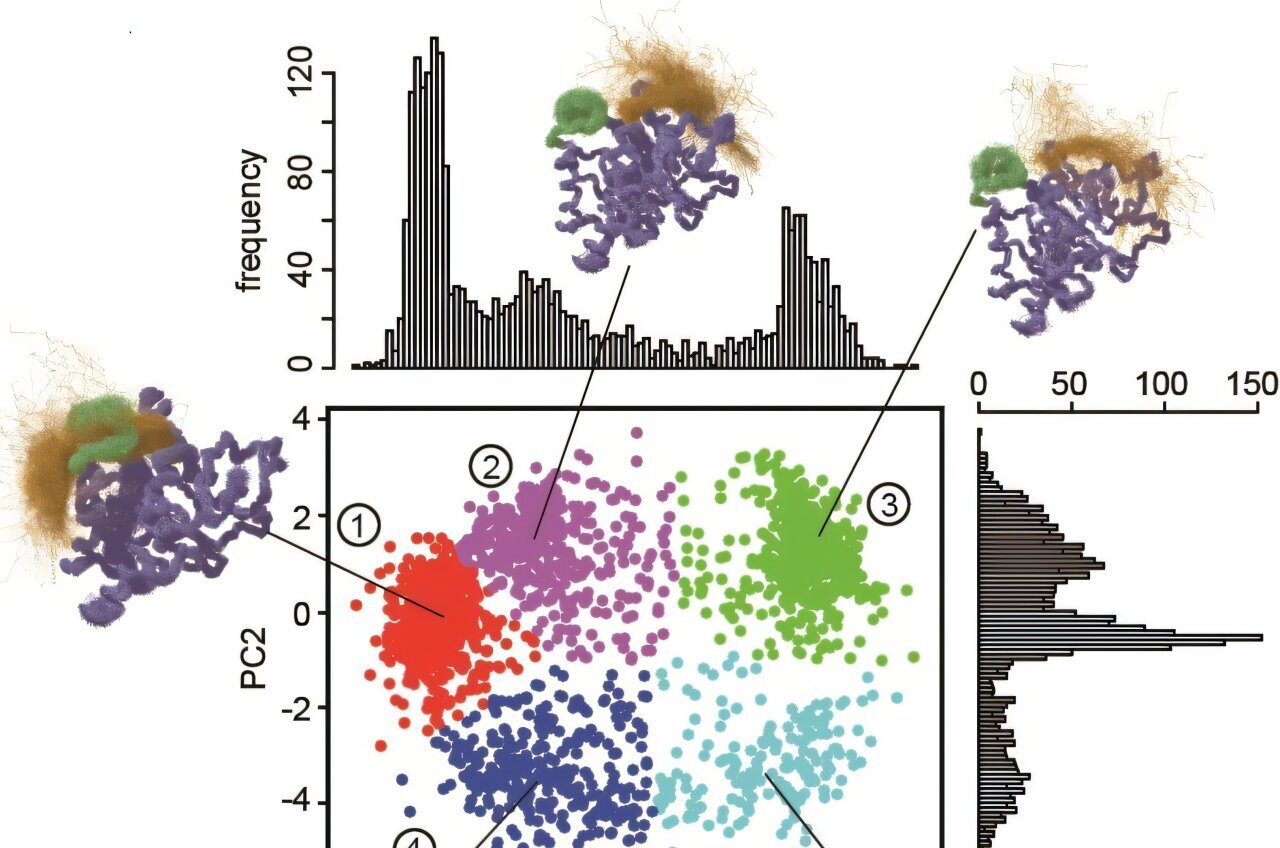How enzymes 'dance' while they work, and why that's important
