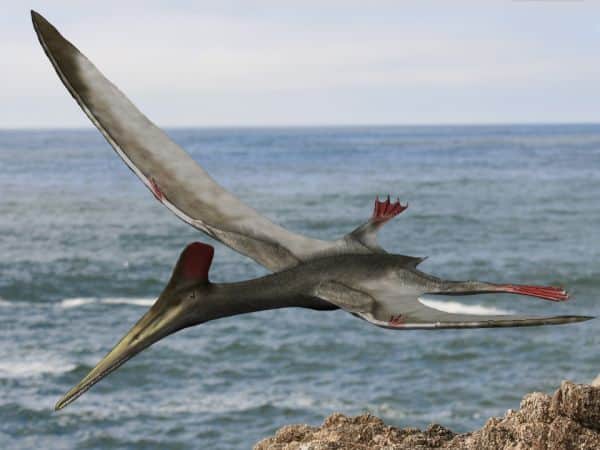 10 Flying Dinosaurs That Once Ruled the Skies