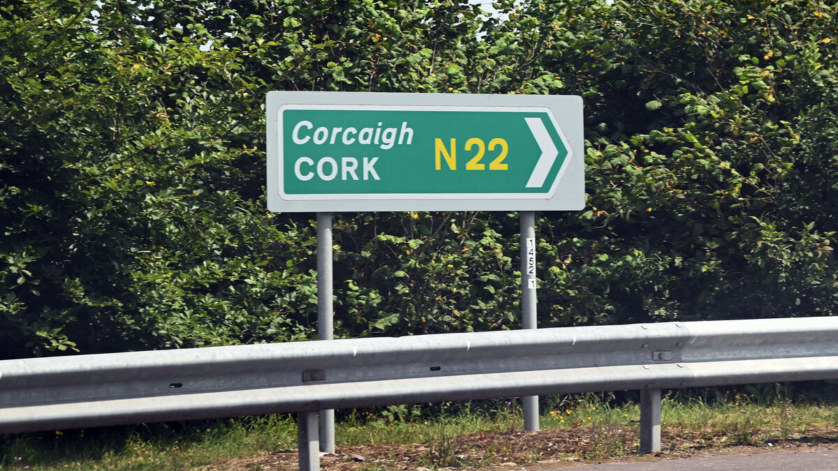 Upgrade of 'dangerous' stretch of Cork road to take years, councillors told