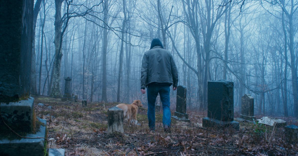 The Gut-Punch Ending of Good Boy, Explained by Its Director