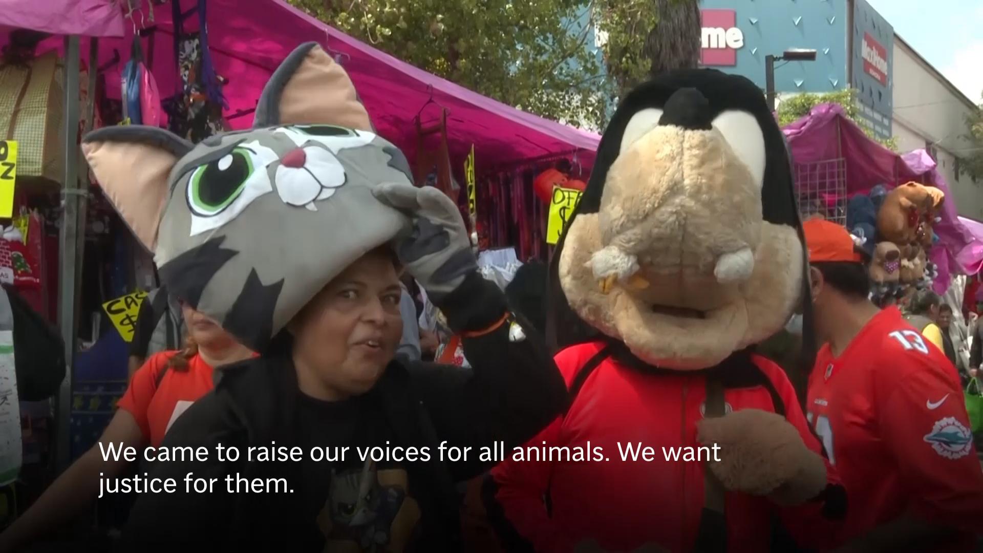 Activists protest 'inhumane' treatment and sale of animals outside ...