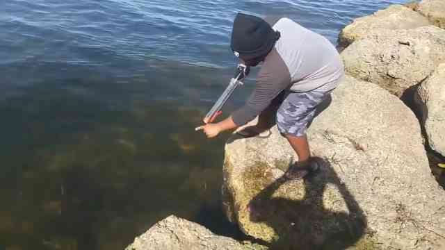 Rocket Fishing Rod Catches Real Saltwater Fish!