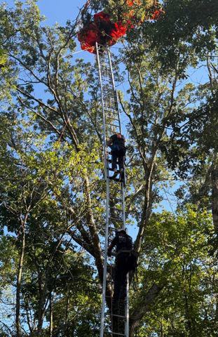 35-Year-Old Nashville Skydiving Instructor Dies After 'Tragically ...