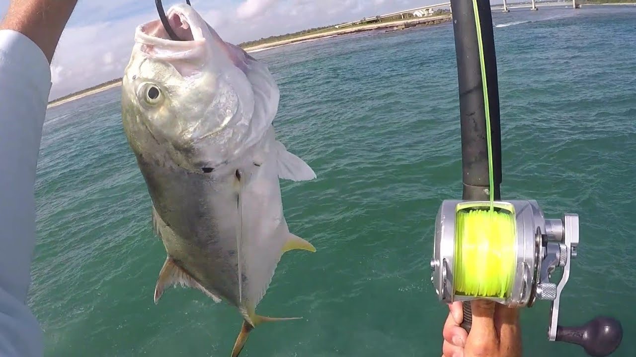 Monster Goliath Grouper And Snook Caught Using Huge Bait