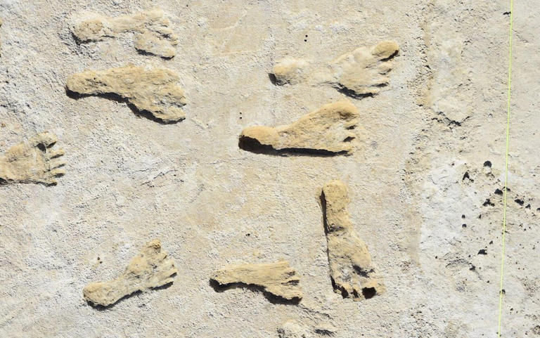 Who really discovered America?