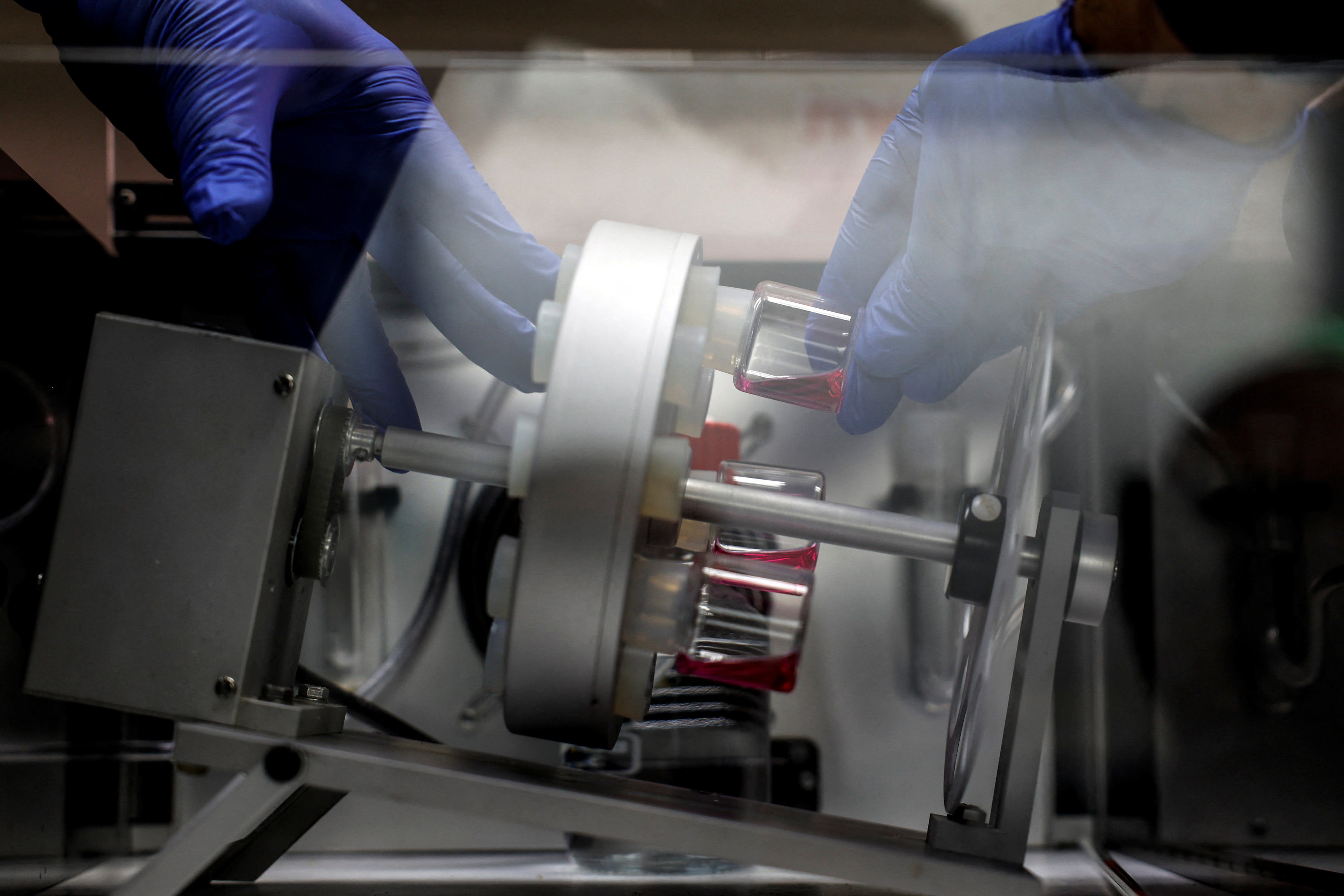 The future of human fertility? Scientists create human eggs using skin ...