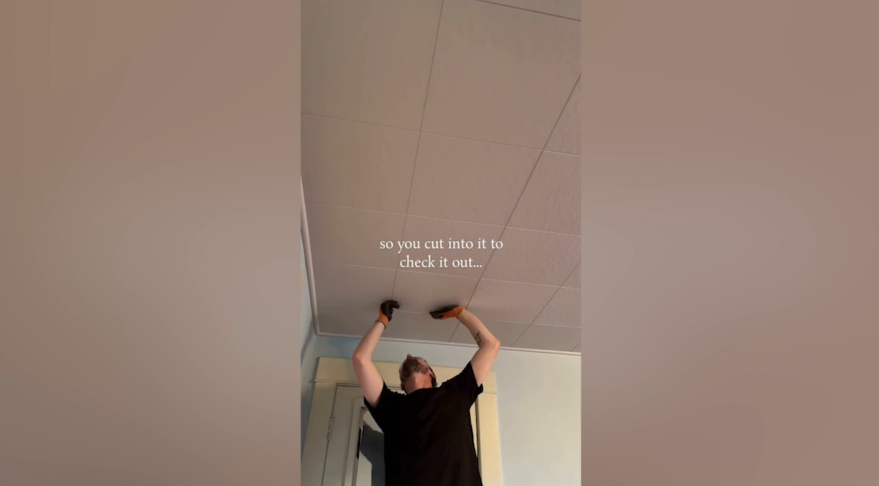 Couple Suspect Something Hiding In Ceiling—Then They Take A Look