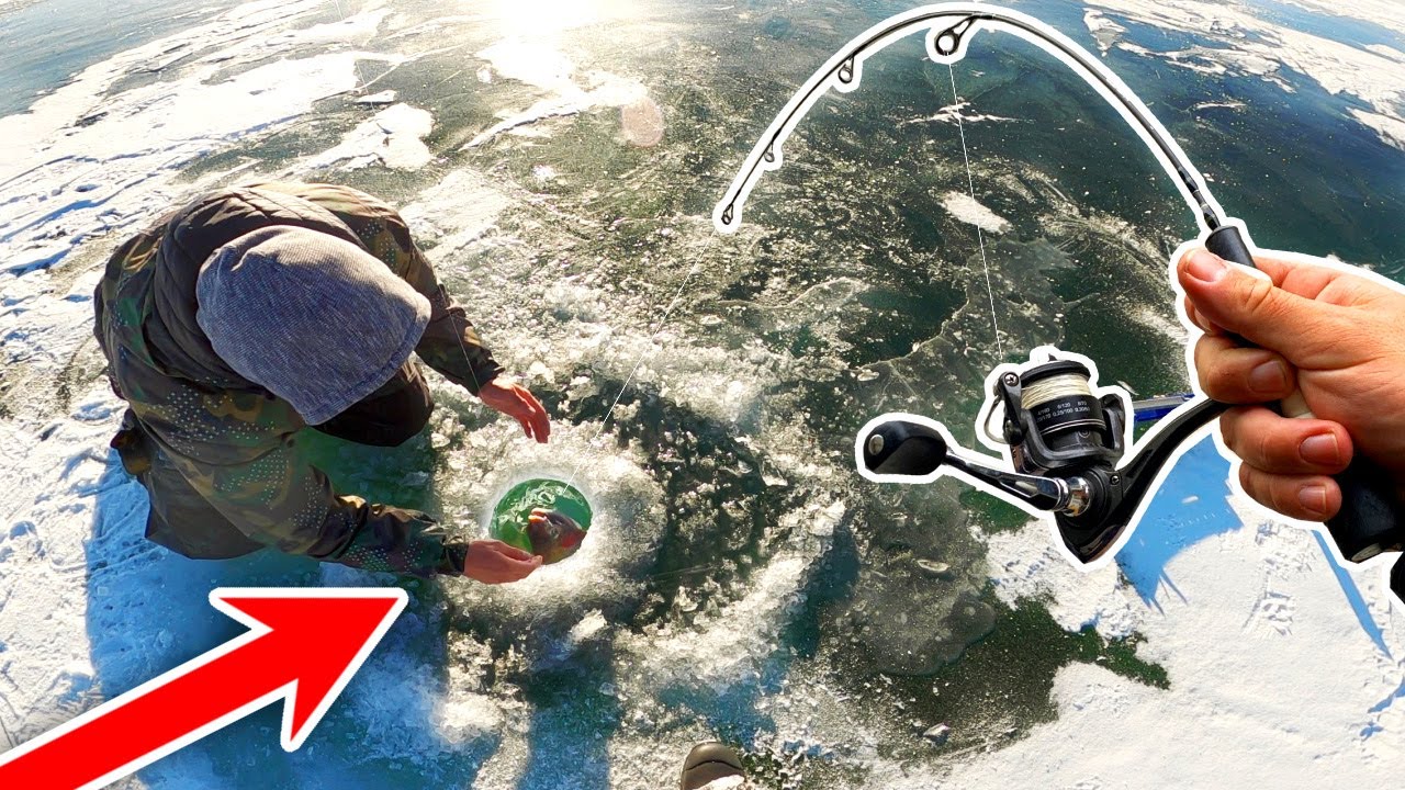 My biggest fish ever caught through the ice