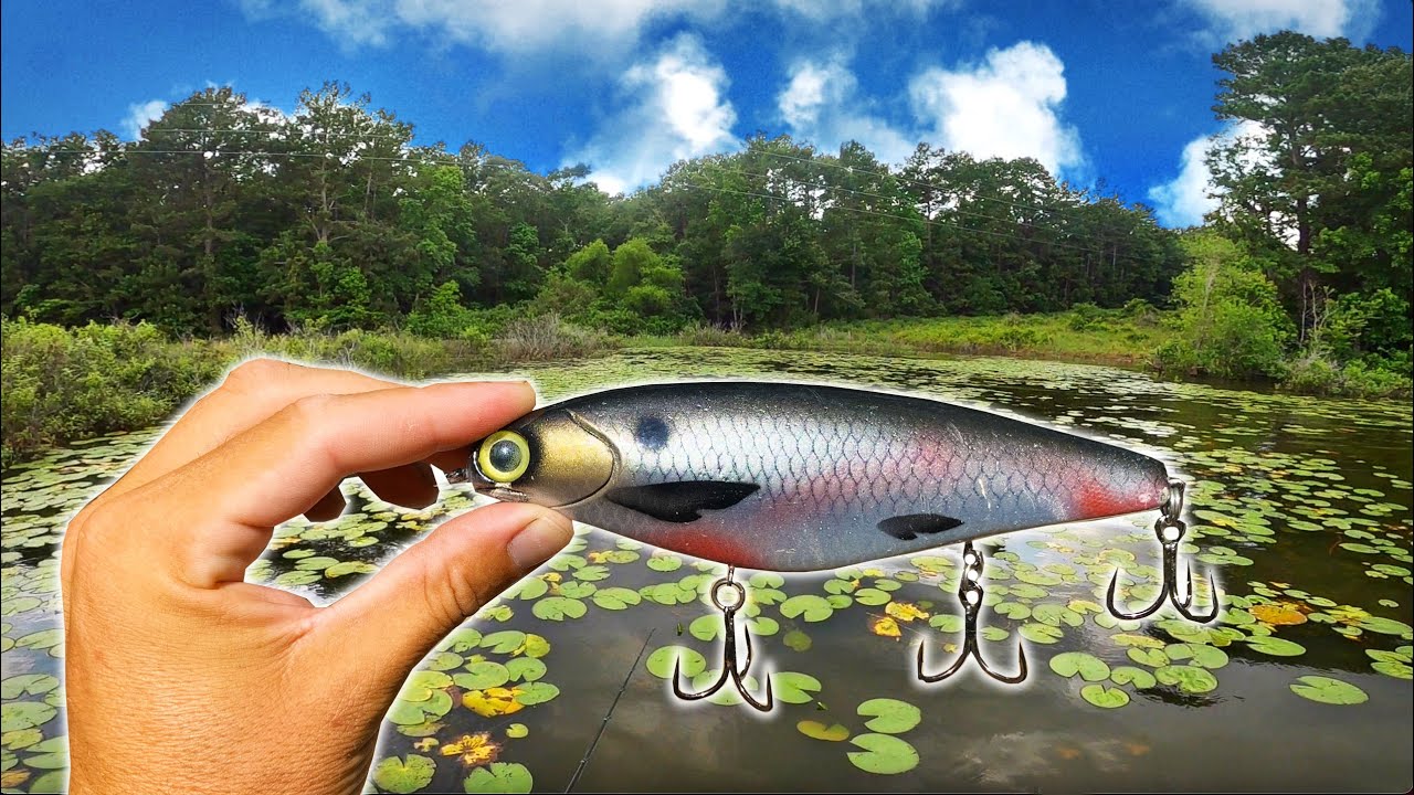 Savage fish explode on topwater in the summer lily pads