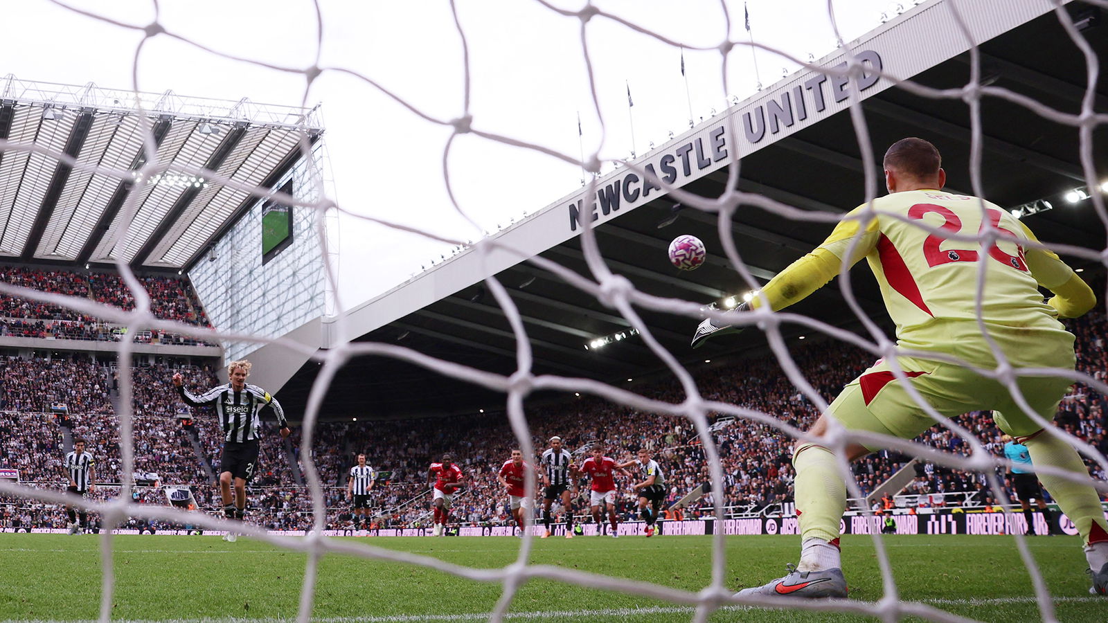 Who scored the Newcastle United goals last season and where will they ...