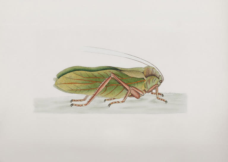 Phobias That Shaped the Lives of History's Most Influential People Data ...