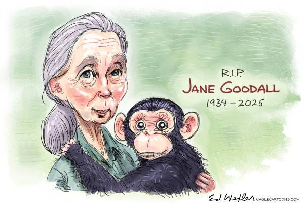 Editorial: Today's Best Political Cartoons