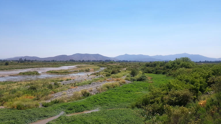 Río Maipo de Melipilla: el gigante verde que invita a reconectar con la ...