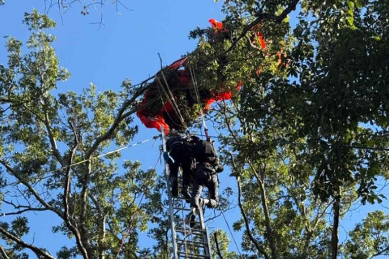 35-Year-Old Nashville Skydiving Instructor Dies After 'Tragically ...