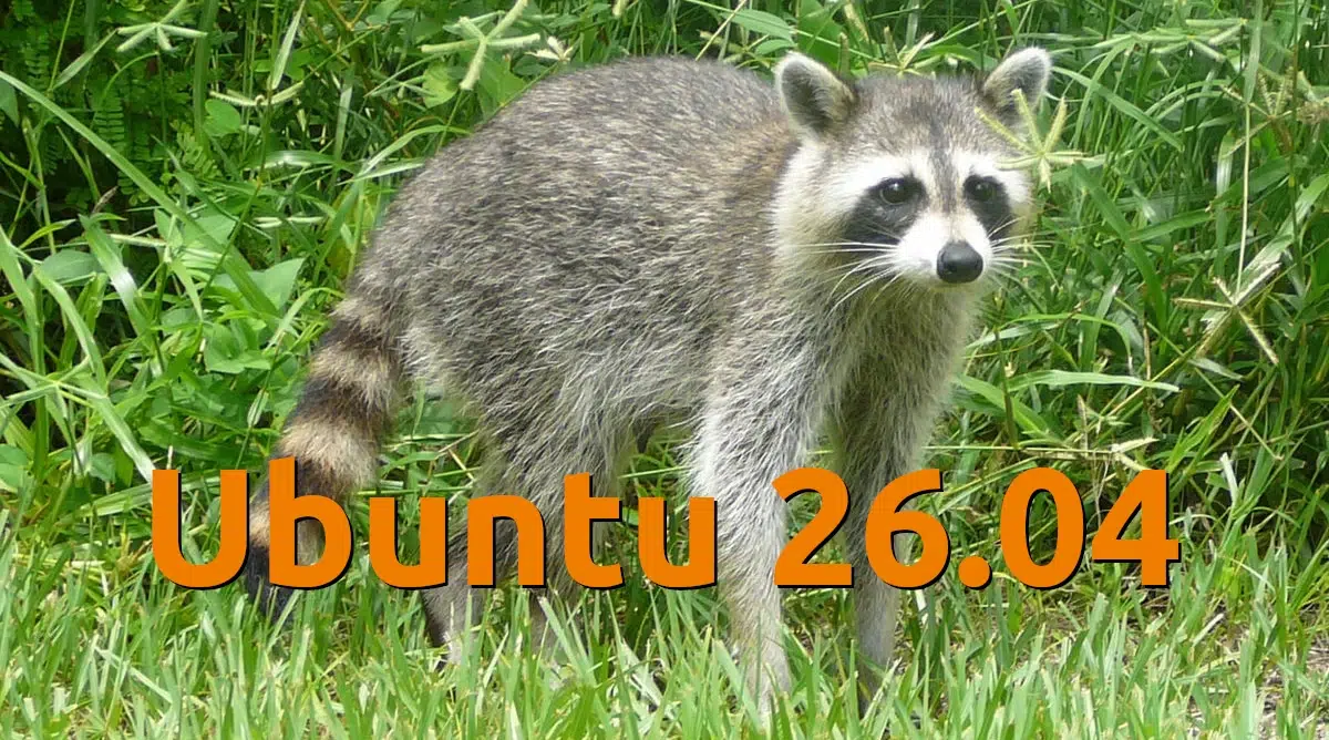 Ubuntu 26.04 ya tiene nombre en clave, y es un animal determinado
