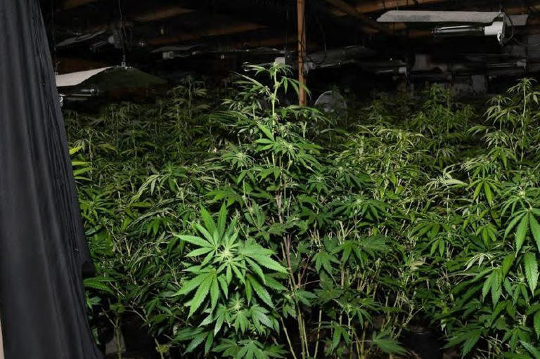 Police raid building in Manchester and find £1.3m crime den inside